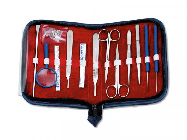 Anatomy Dissection Kit | NursesDNA